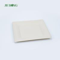 China Custom Biodegradable Sugarcane Food Container White Paper Dinner Plates 10000pcs for sale