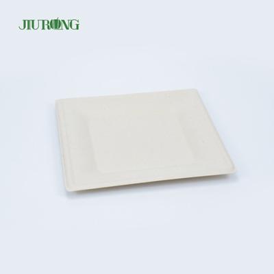 China Custom Biodegradable Sugarcane Food Container White Paper Dinner Plates 10000pcs for sale
