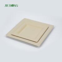 China Custom Biodegradable Sugarcane Food Container White Paper Dinner Plates 10000pcs for sale