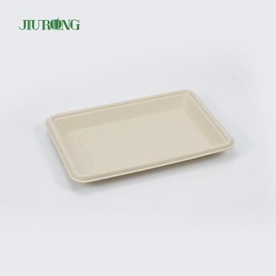 China PLA Biodegradable Bagasse Tableware Dish Fast Food Serving Tray for sale