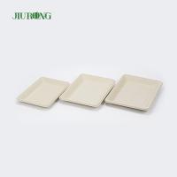 China PLA Biodegradable Bagasse Tableware Dish Fast Food Serving Tray for sale