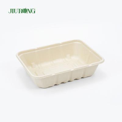 China Biodegradable Sugarcane Bagasse Food Container Box Custom Logo Eco Friendly Waterproof 1000ml for sale