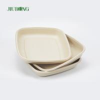 China Bagasse Takeaway Disposable Sugarcane Paper Plates Biodegradable for sale