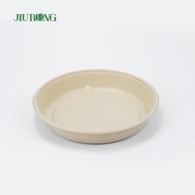 China Custom Eco Friendly Disposable Sugarcane Bagasse Food Container Hamburger Tray 100% Biodegradable for sale