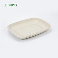 China Eco Friendly Compostable Food Tray Sushi Biodegradable Sugarcane Plate for sale