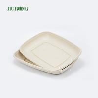 China Eco Friendly Compostable Food Tray Sushi Biodegradable Sugarcane Plate for sale