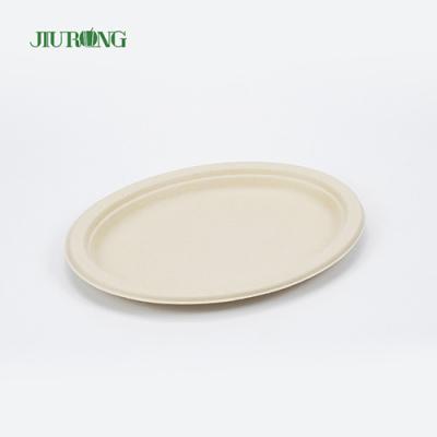 China Noodle Biodegradable sugarcane food packaging Disposable Matt Lamination for sale