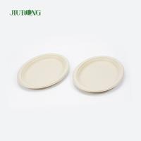 China Noodle Biodegradable sugarcane food packaging Disposable Matt Lamination for sale