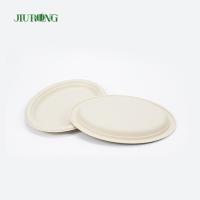 China Noodle Biodegradable sugarcane food packaging Disposable Matt Lamination for sale