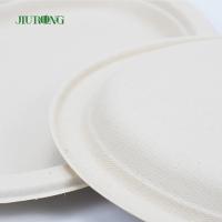 China Noodle Biodegradable sugarcane food packaging Disposable Matt Lamination for sale