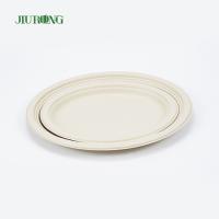 China Eco Friendly Sugarcane Food Container 7inch 23cm Waterproof Disposable Plate for sale