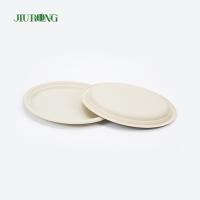China Eco Friendly Sugarcane Food Container 7inch 23cm Waterproof Disposable Plate for sale