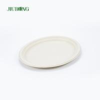China Eco Friendly Sugarcane Food Container 7inch 23cm Waterproof Disposable Plate for sale