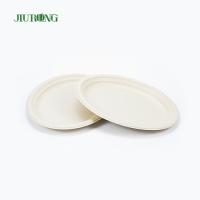 China Eco Friendly Sugarcane Food Container 7inch 23cm Waterproof Disposable Plate for sale