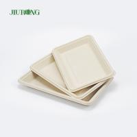 China Square Disposable biodegradable sugarcane plates 160mm for Hamburger Bread for sale