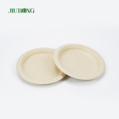 China Fast Food Sugarcane Food Container Biodegradable Packaging 9inch Round for sale