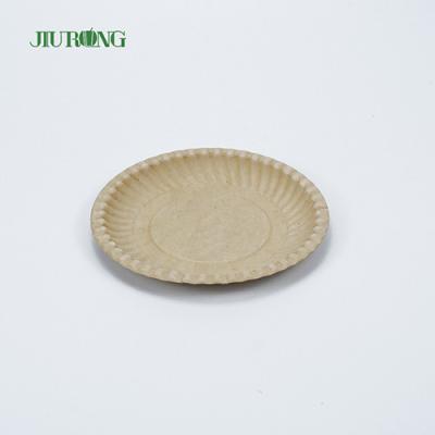 China Recyclable Biodegradable Sugarcane Food Container Eco Friendly Round Plate 258mm for sale