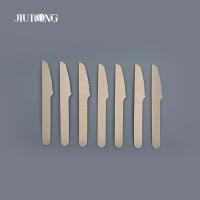 China Custom Biodegradable Disposable Cutlery Wooden Compostable Flatware 140mm for sale
