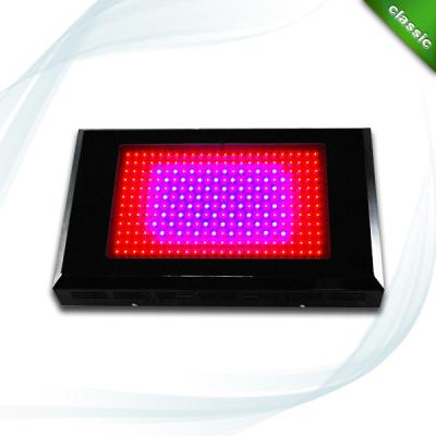 China 600W LED Grow lighting in hydroponics for sale