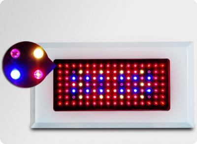 China LED Plant Grow Light 120W 55x3W for Greenhouse High Efficiency for sale