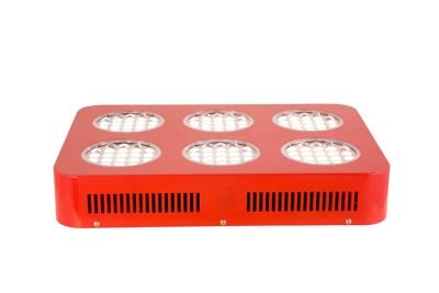 China 210W Super power LED grow lamps lights for sale