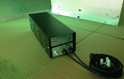 China Economical 600W Magnetic HID Ballast for HPS MH Grow Light Hydroponics for sale