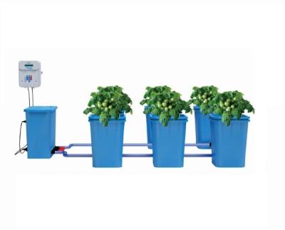 China Hydroponic Bucket System with Controller and Module for Indoor Plant Growing for sale
