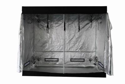 China Hydroponic Mylar Grow Tent Kit 240x120x200cm for Indoor Plant No Toxic Grow Rooms for sale