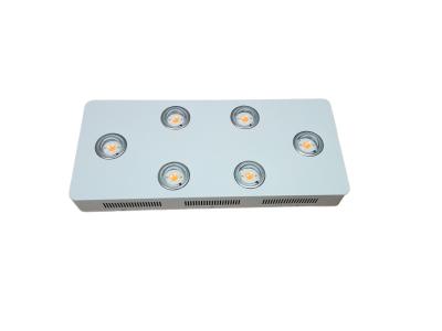 China 900W COB LED Grow Light Full Spectrum for Hydroponic Indoor Plant Growth for sale