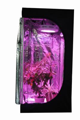 China 140x140x200cm Hydroponic Grow Tent Non Toxic Waterproof Zipper Indoor Horticulture for sale