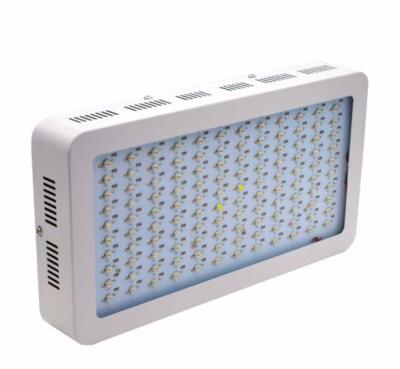 China 1200W Double Chips LED Grow Light Full Spectrum for Indoor Plants Greenhouse Hydroponic Flowering Growing for sale