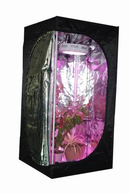 China Non Toxic Hydroponic Grow Tent 140x140x200cm Indoor Garden Homebox with Waterproof Zipper for sale