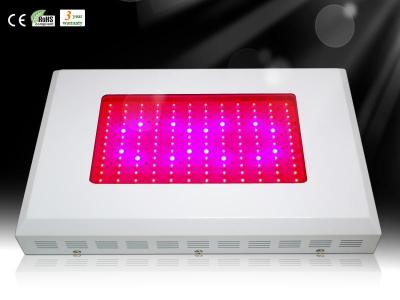 China Horticulture LED Square Plant Grow Light 400W Red Blue Spectrum for Indoor Growth Room for sale