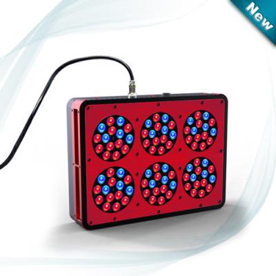 China 200W 3700 Lumen RGB LED Plant Grow Light for Indoor Flower Garden for sale