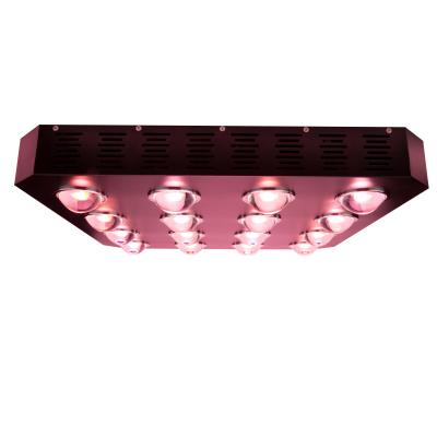 China King Series 16x180W LED Grow Light 350-850nm Full Spectrum for Indoor Plants Replace HPS for sale