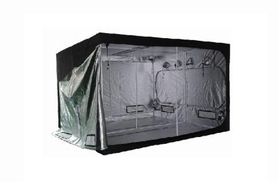 China 20x10 Feet Dark Grow Room Tent Steel Frame Non Toxic Material Indoor Plant for sale