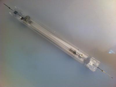 China 1000W HPS HID Double Ended Grow Light 2100K for Hydroponic Greenhouse for sale