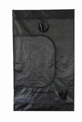 China Custom Greenhouse Non Toxic 5x5 Grow Tent Setup for Indoor Horticulture for sale