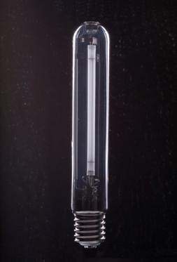China 32000Lm Greenhouse HID 250W Grow Light Lamp 24000hrs for Flowering Budding Phase for sale