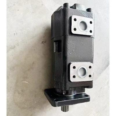 China 2204.010.0034 Hydraulic pump Fantuzzi Spare Parts for sale