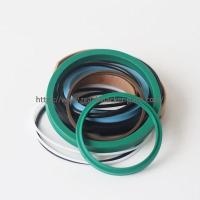 China 14181163 Repair kit Sany Reach Stacker Parts for sale