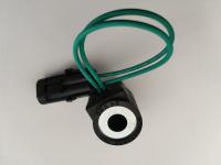 China CVS Ferrari 534977 Solenoid Valve Coil For  Transmission for sale