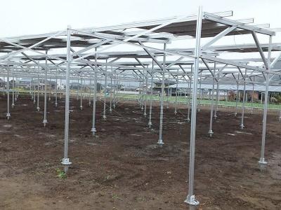 China Adjustable Aluminum Solar Module Mounting System for Agricultural & Waterproof Canopies - High Strength Anodized Frame for sale