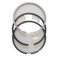 China 20460011 Mahle Engine Parts D6D Piston Ring For VOLVO EW160B Excavator for sale