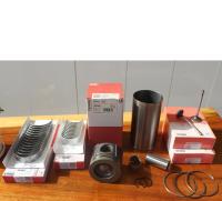 China Hot Sale Original Quality Diesel Engine Parts Genuine MAHLE D6D Liner Kit 4501365 4250003 20460011 For VOLVO EC210 Excav for sale