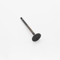 China Machinery Diesel Engine Valve 4TNV106 129104-11101 Inlet Exhaust Valves For Excavator Spare Parts for sale