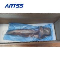 China QSK19 QSM11 4964170 Common Rail Fuel Injector Assy For Excavator Cummins Spare Parts for sale