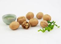 China Xinjiang XIN 2 Walnut in Shell - 2.5-10kg Packaging with 63g Fat & 15.4g Protein per 100g for sale