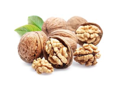 China Northern Carya Walnut in Shell - 2.5kg to 10kg Packaging, Natural Sun-Dried, Organic Farming for sale