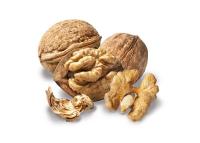 China Northern Carya Walnut in Shell - 2.5kg to 10kg Packaging, Natural Sun-Dried, Organic Farming for sale
